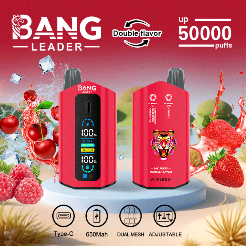 Dual Flavours Bang Leader 50000 Puffs Two Flavours 50K Rechargeable ...